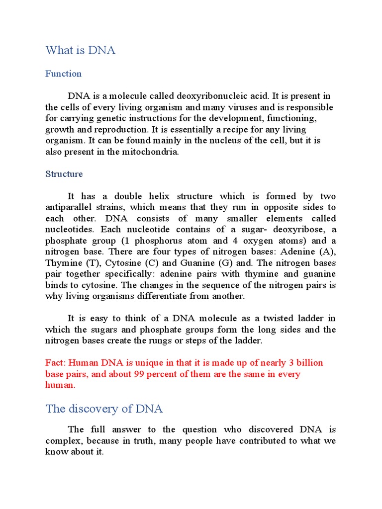 What Is DNA: Function | PDF | Dna | Molecular Biology