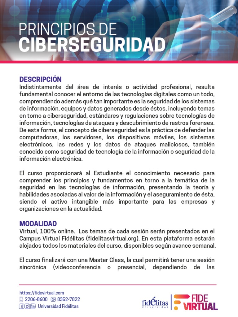 Programa Ciberseguridad | PDF | La seguridad informática | Seguridad