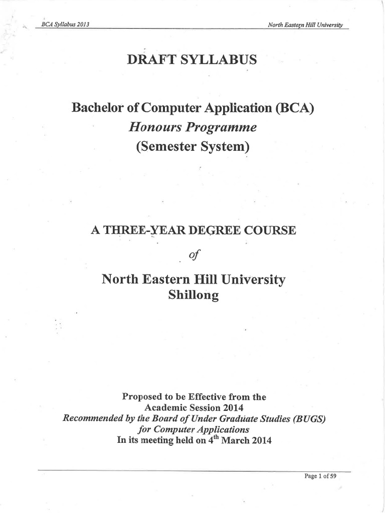 BCA Syllabus (NEHU) | PDF