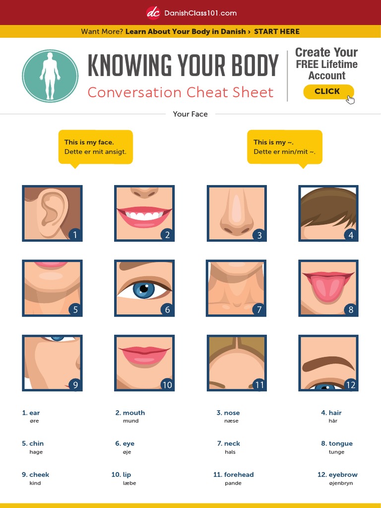 Body Parts Vocabulary in Danish | PDF