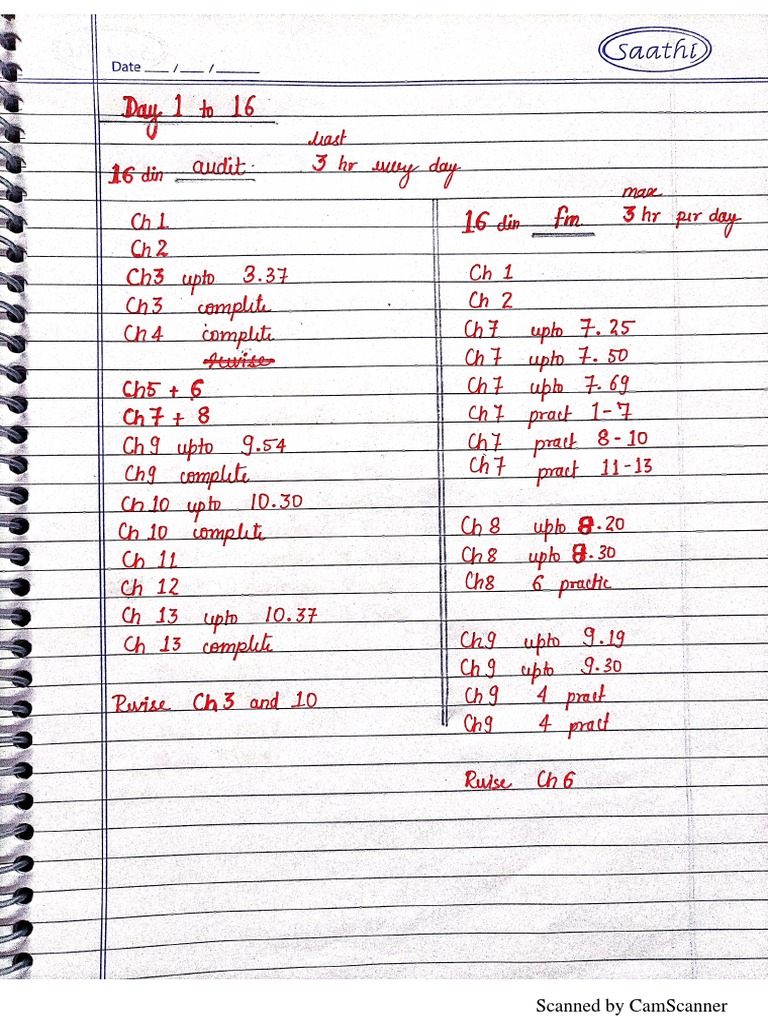 CA 1 Month Study Plan | PDF