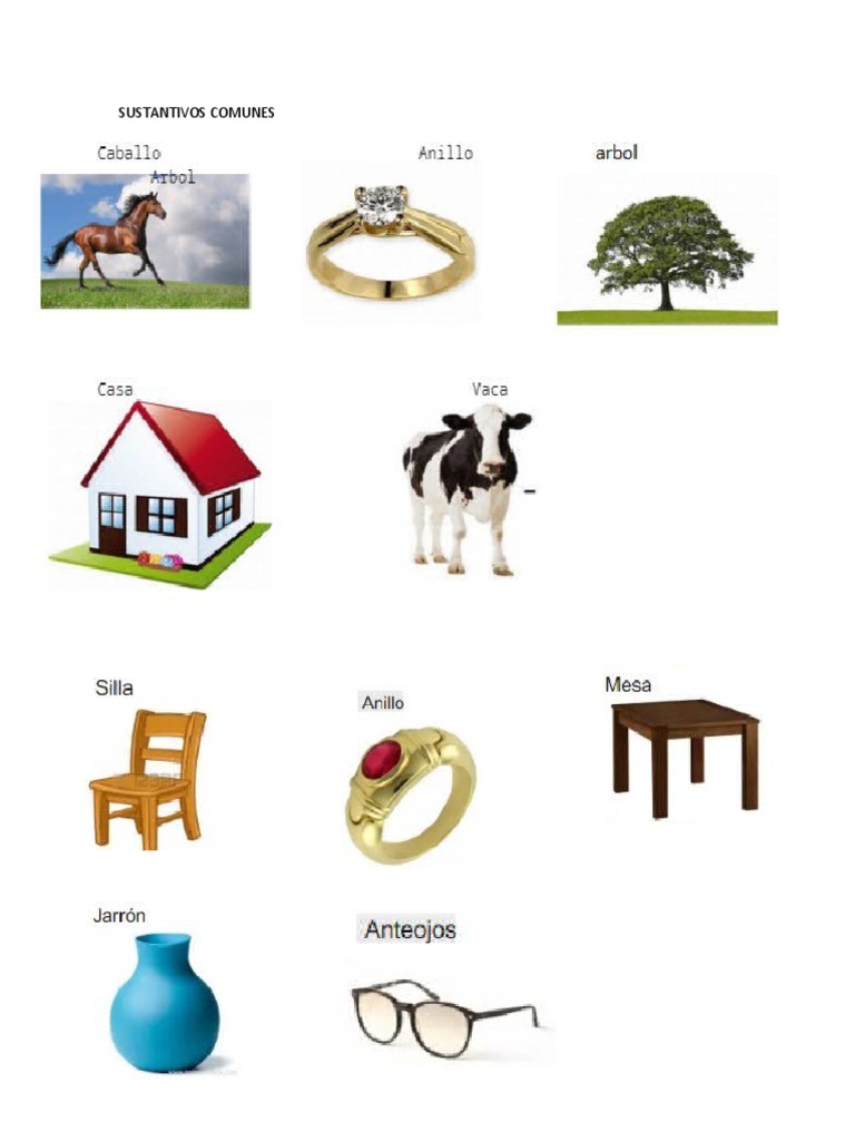 Sustantivos Comunes | PDF
