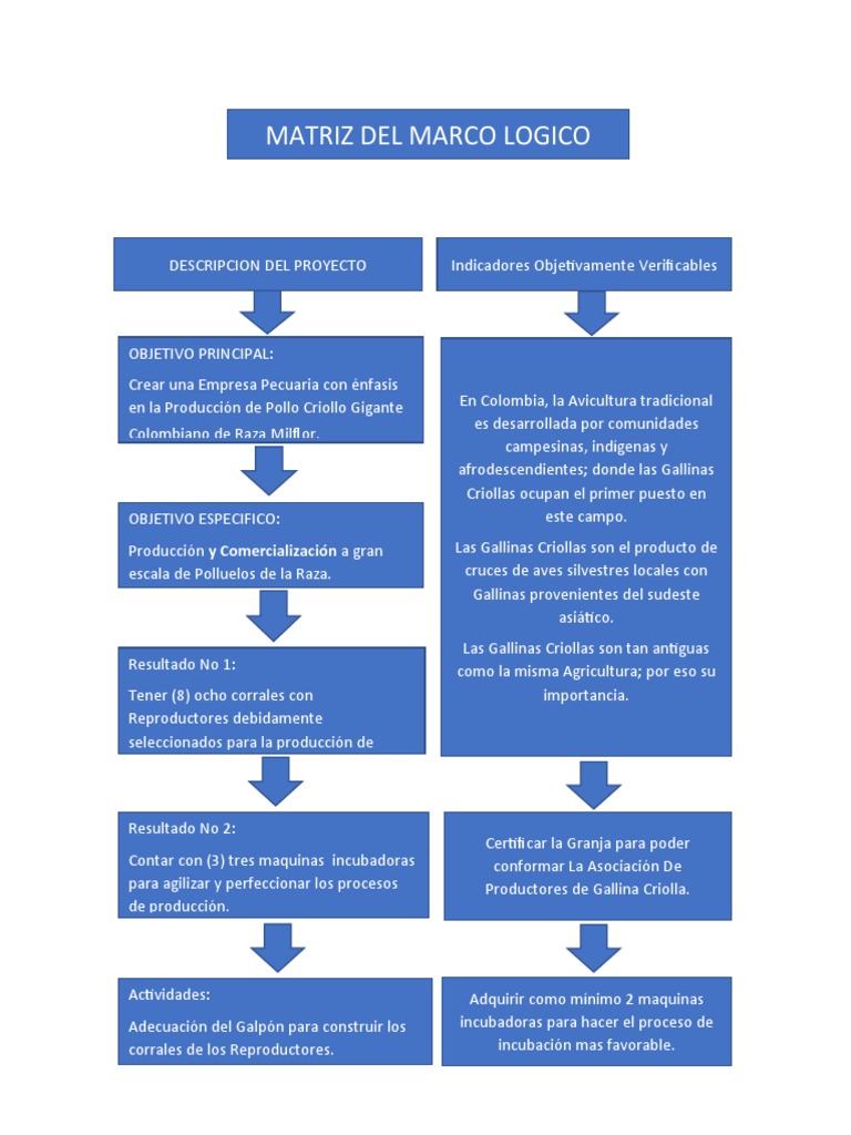 MATRIZ DEL MARCO LOGICO | PDF