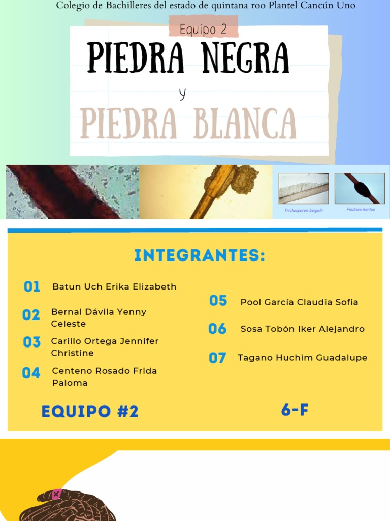 Micosis de Piedra Negra y Blanca | PDF | Pelo | Hongo