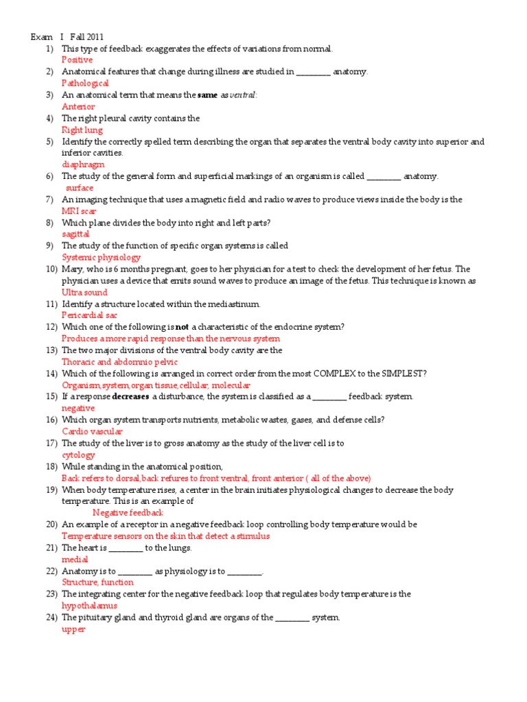 A&P Exam 1 Review: Key Concepts | PDF | Cell (Biology) | Cell Membrane