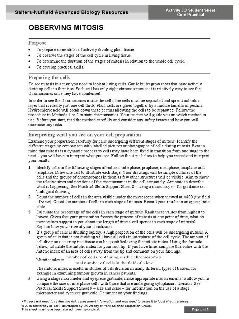 Activity 3-9 Student | PDF | Mitosis | Staining