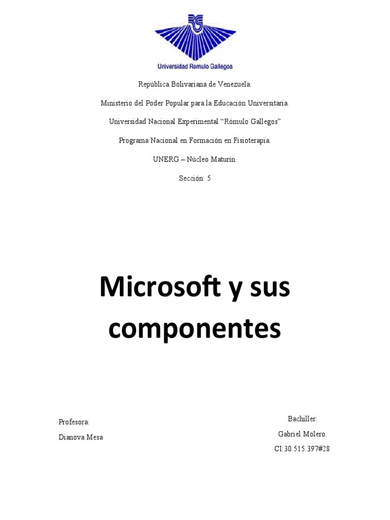 Ensayo Sobre Microsoft | PDF | Microsoft Office | Microsoft Windows