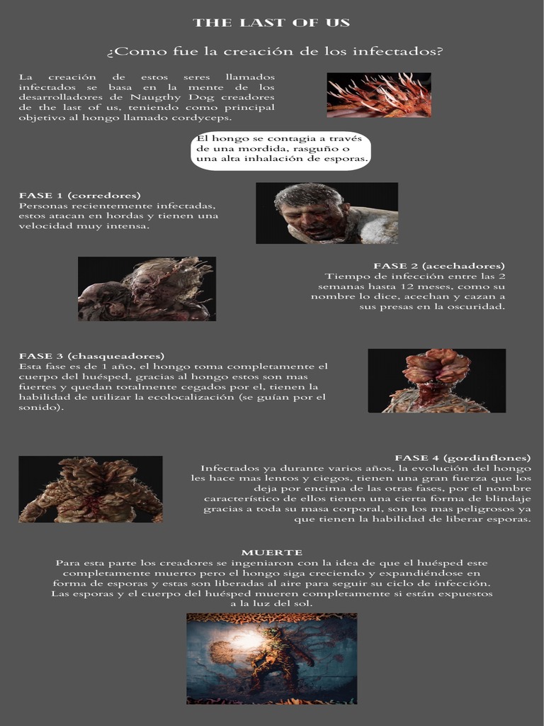 Fases y tipos de infectados en The Last of Us | PDF | Hongo