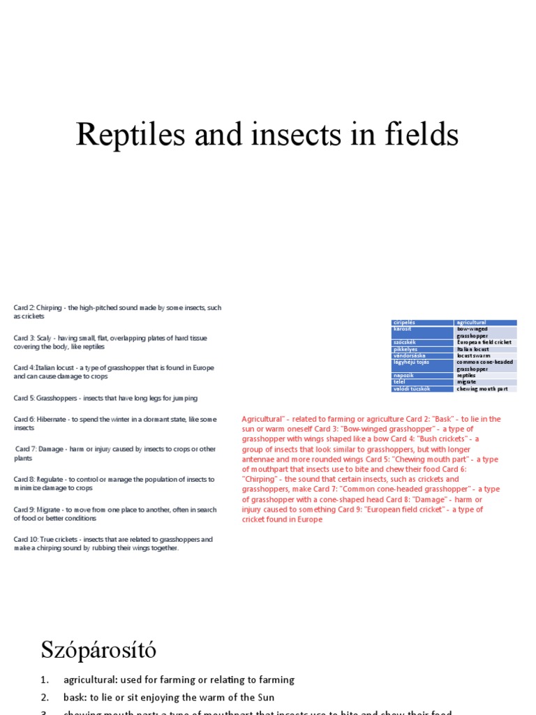 Reptiles And Insects Pdf Lizard Insects