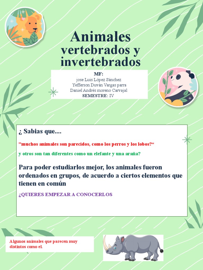 Exposicion Aniamles Vertebrados y Invertebrados. | PDF | Esqueleto ...