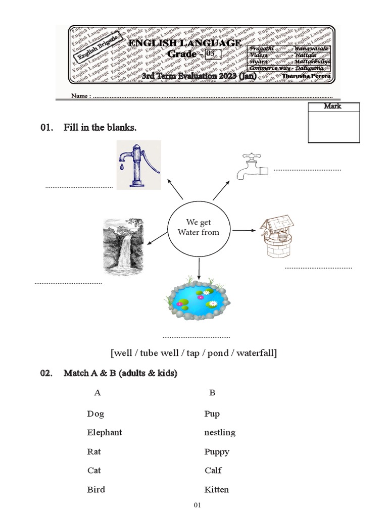 Grade 3 - 3rd Term Evalution | PDF | Domesticated Animals