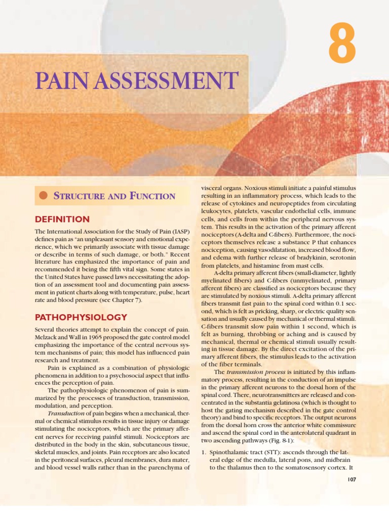 TF 0692815164 Pai Assessment | PDF | Pain | Stimulus (Physiology)