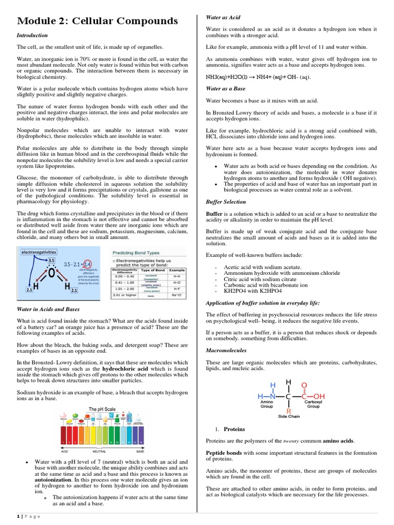 Module 2 Cellular Compounds | PDF | Acid | Buffer Solution