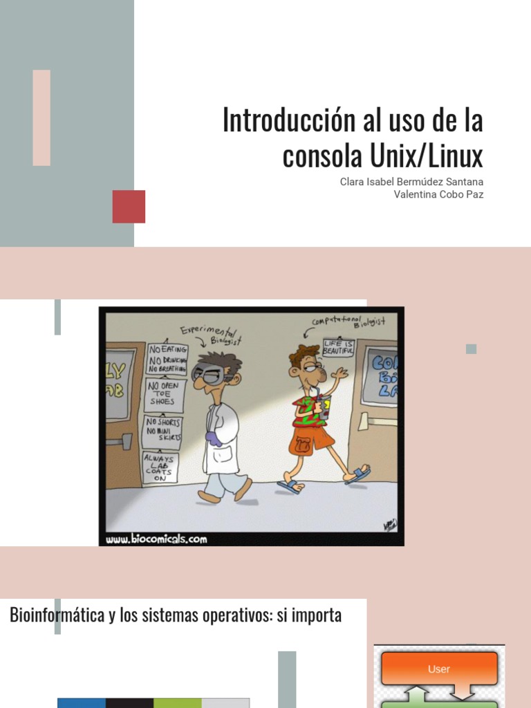 Uso Básico de Consola Unix/Linux | PDF