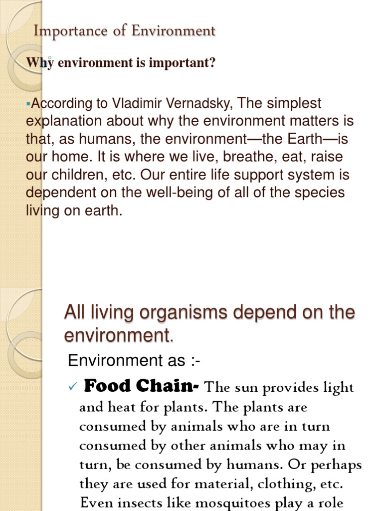 Importance of Environment: Why Environment Is Important? | PDF ...