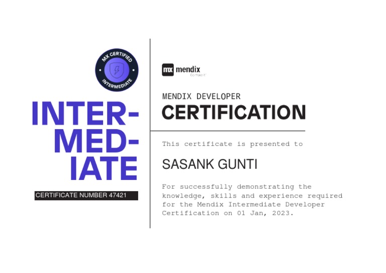Mendix Intermediate Developer Certificate | PDF | Business