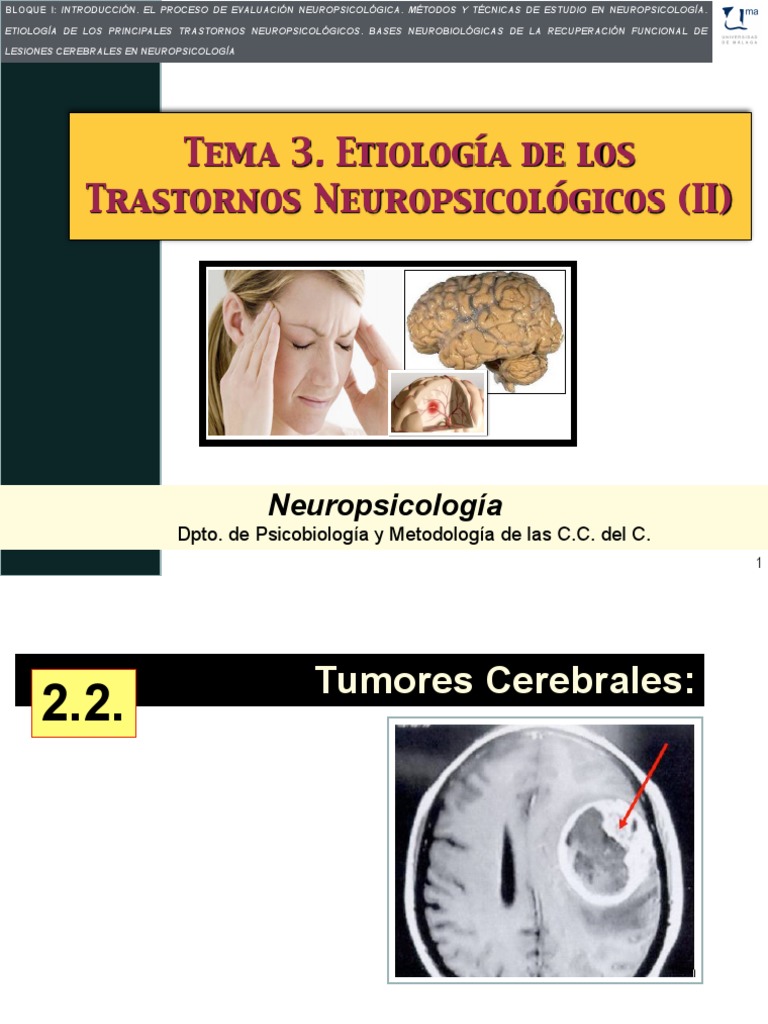 Presentación Tema 3. NPGrado 2 | PDF | Cáncer | Tumor cerebral