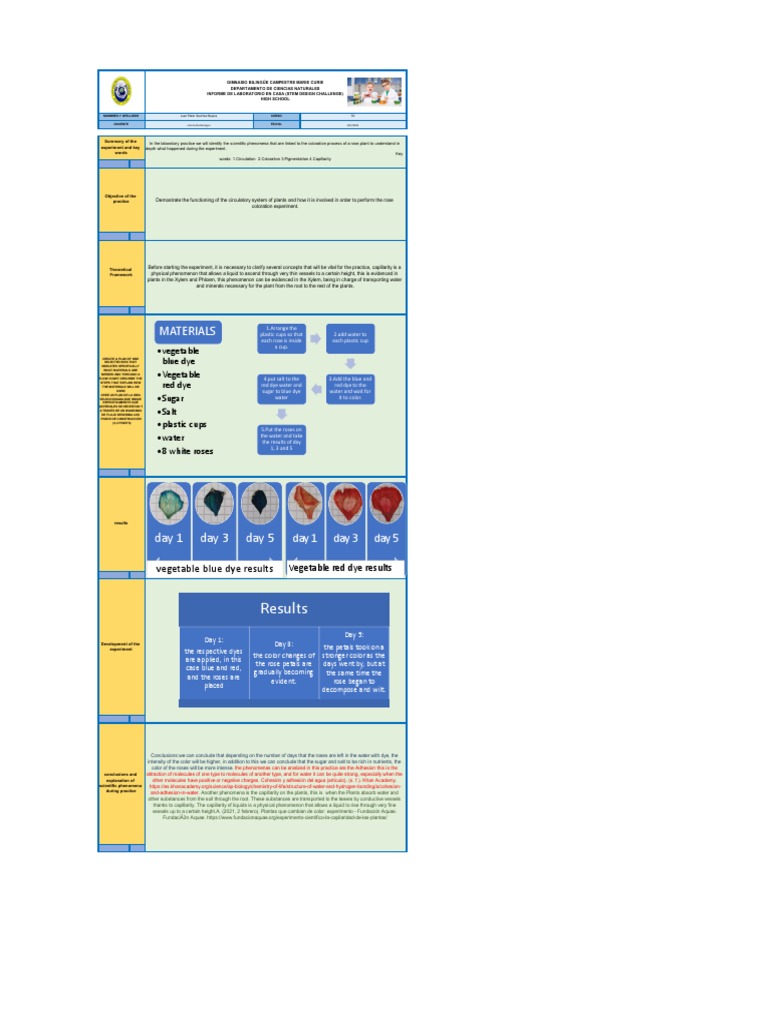 Coloring A Rose Lab Practice | PDF | Water | Adhesion