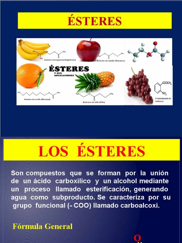 Ésteres: Formación, Propiedades y Nomenclatura | PDF