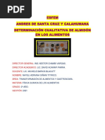 Identificación de Almidón con Lugol | PDF | Almidón | Química