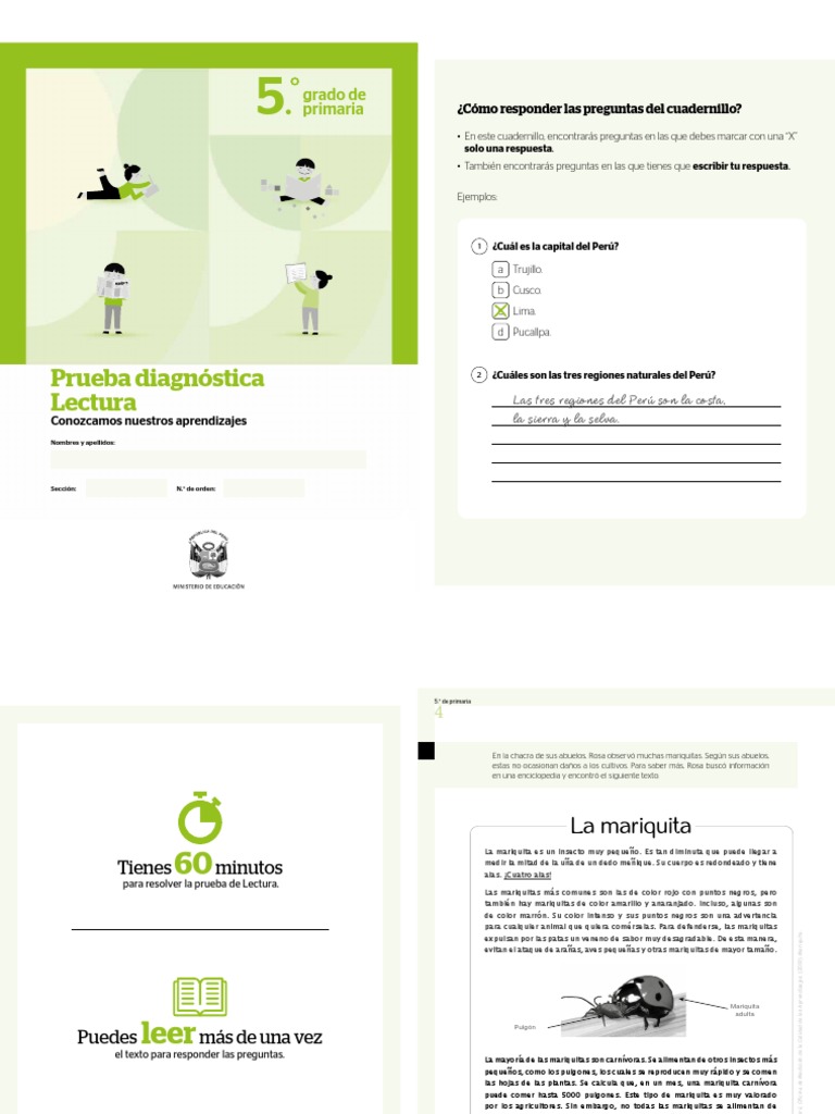 Lectura 5° | PDF | Coccinellidae | Dom