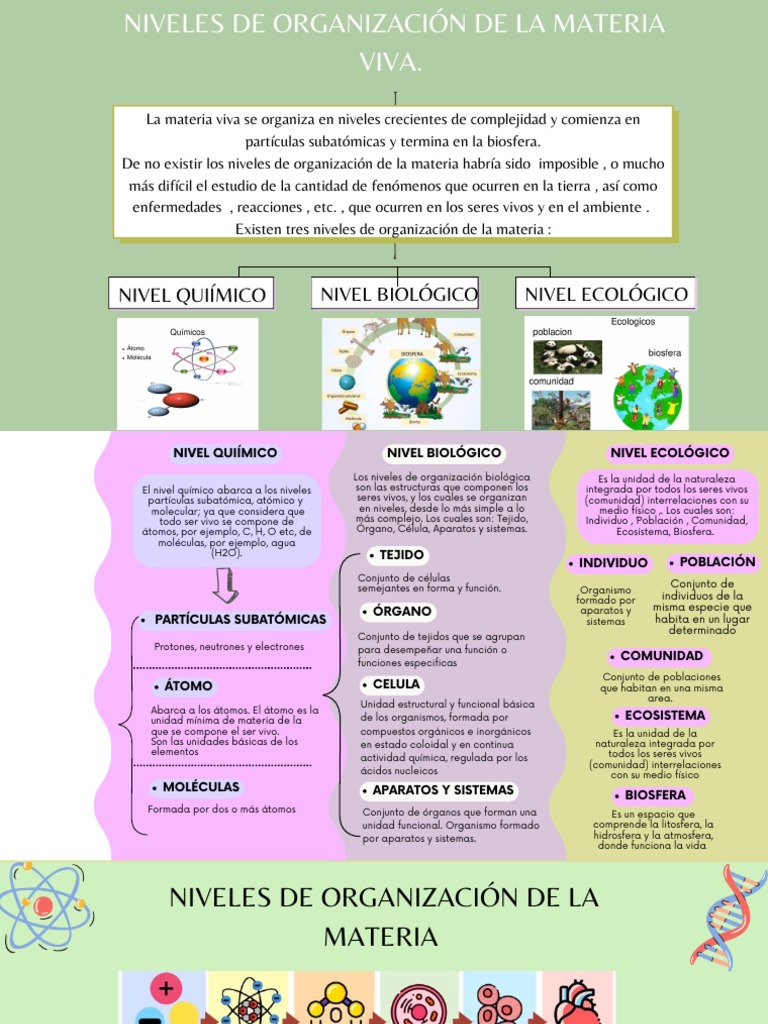 Cuadro Sinóptico de Llaves Simple Divertido y Colorido B | PDF ...