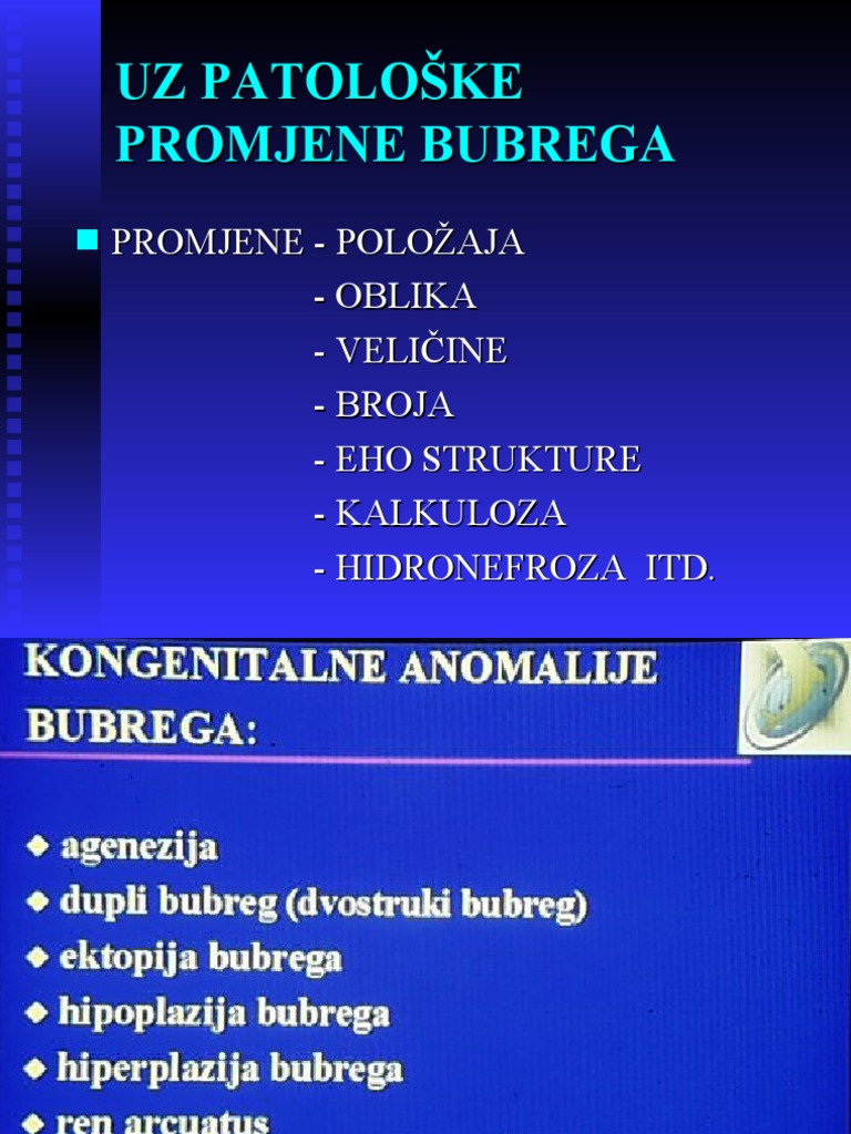 Uz Patološke Promjene Bubrega | PDF