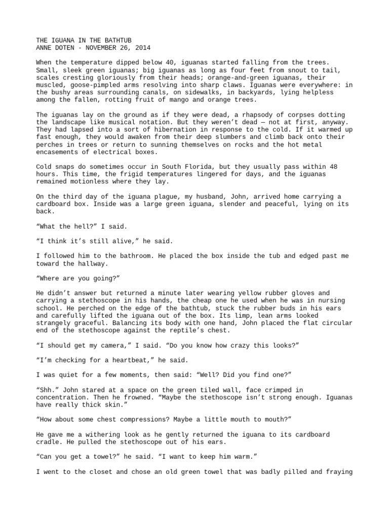 Doten - The Iguana in The Bathtub | PDF
