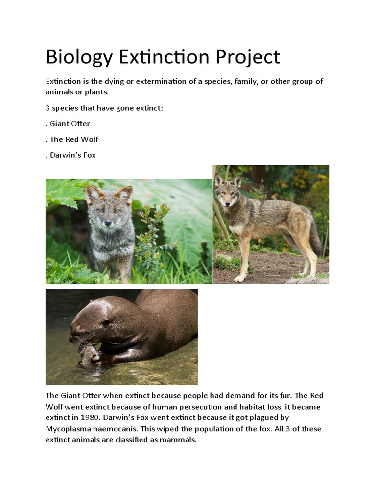 Biology Extinction Project | PDF