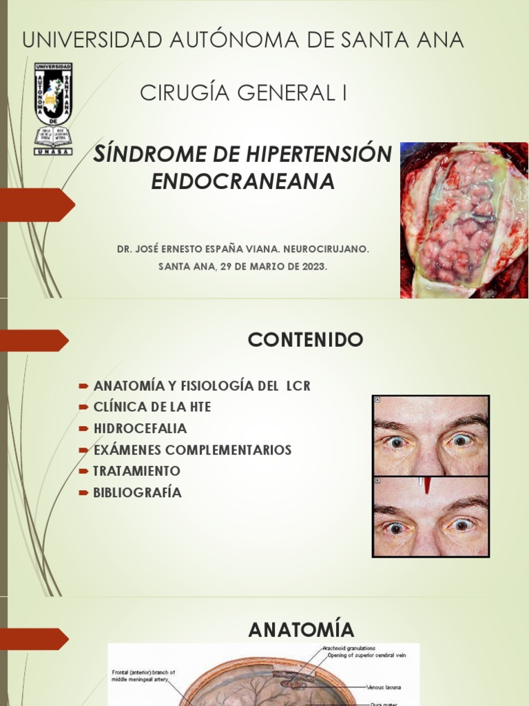 Hipertensión Endocraneana | PDF | Fluido cerebroespinal ...