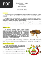 Sintomas da Tungíase e Cuidados | PDF | Doenças e distúrbios | Remédio