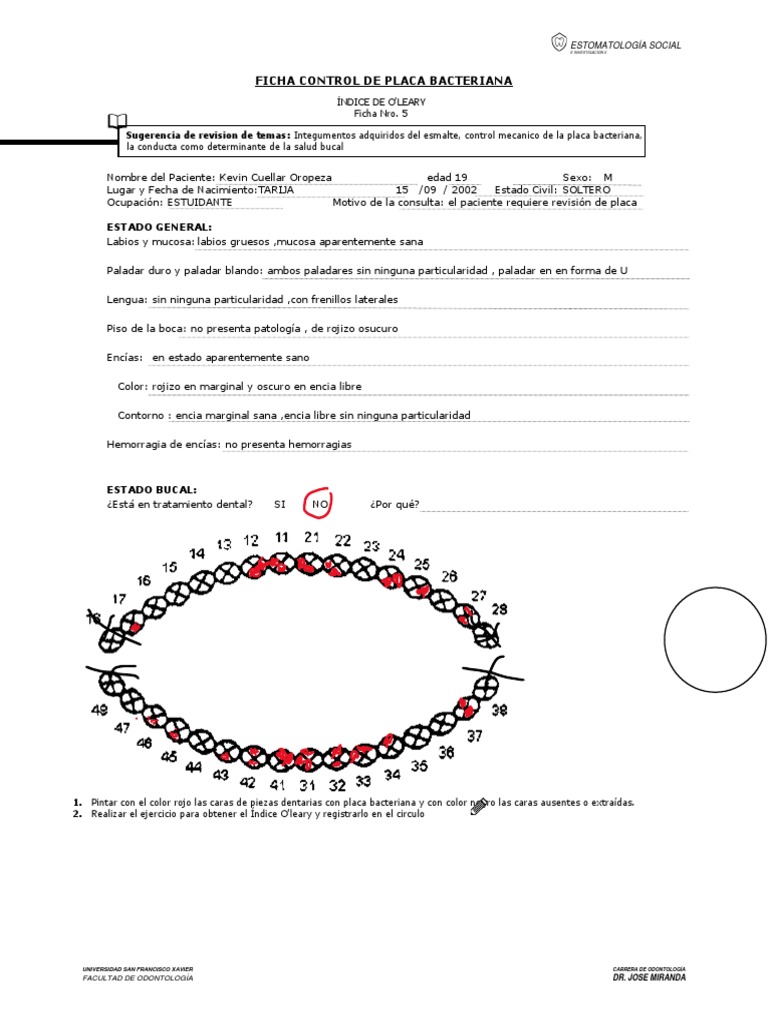 5 Ficha Control de Placa (1) (2) - 1 | PDF | Higiene oral | Odontología