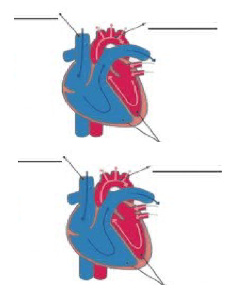 corazon para rellenar plastilina | PDF