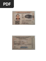 Modelo de Papeleta Word | PDF
