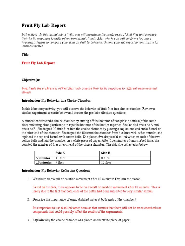 08 01 Fruit Fly Lab Report | PDF | P Value | Experiment