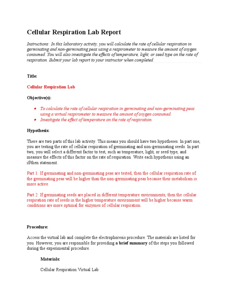 03 05 Cellular Respiration Lab Report | PDF | Chemistry | Biochemistry