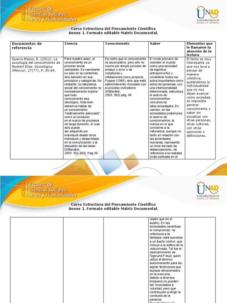 Anexo 1. Formato Editable Matriz Documental | PDF | Conocimiento | Sociedad