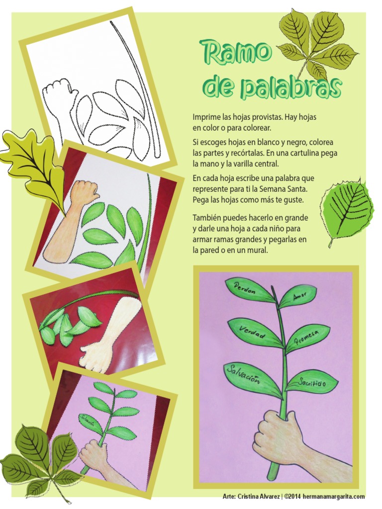 Ramo de Palabras Indicaciones | PDF