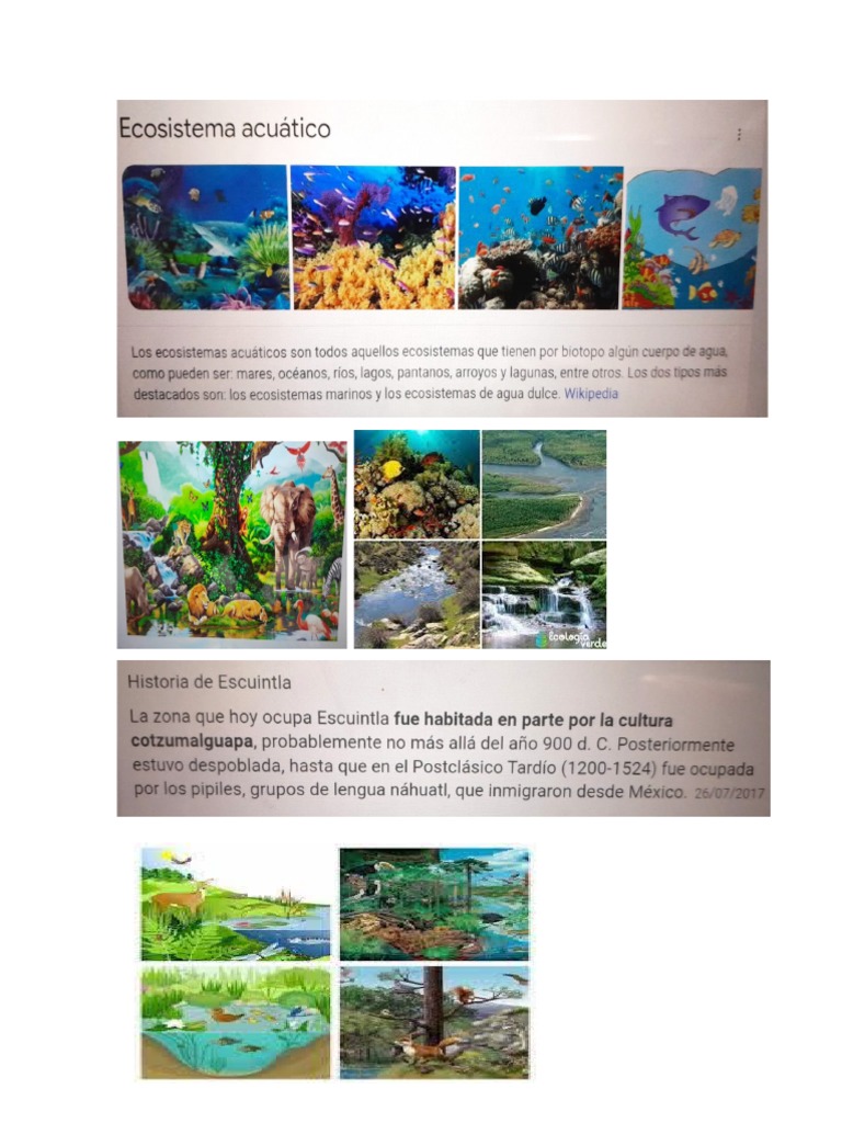 ECOSISTEMAS | PDF | Ecosistema | Clima