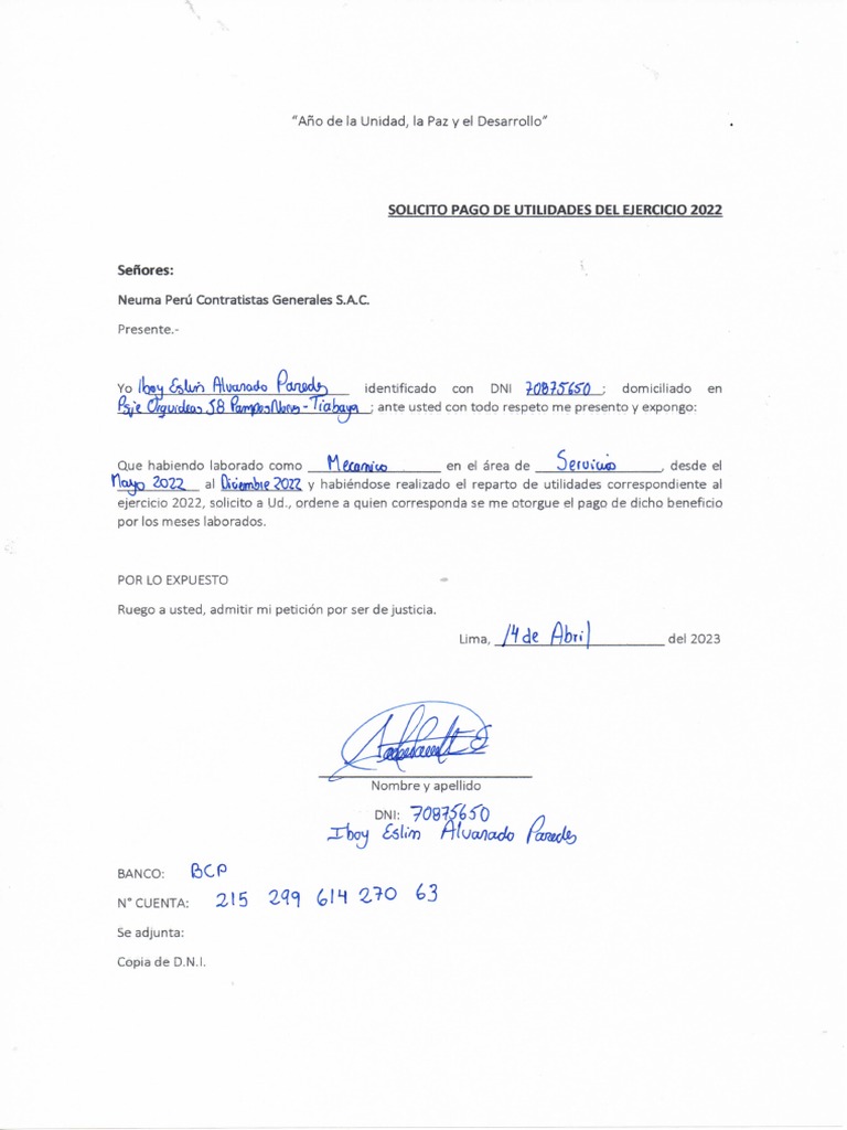 Documentos IBOY | PDF