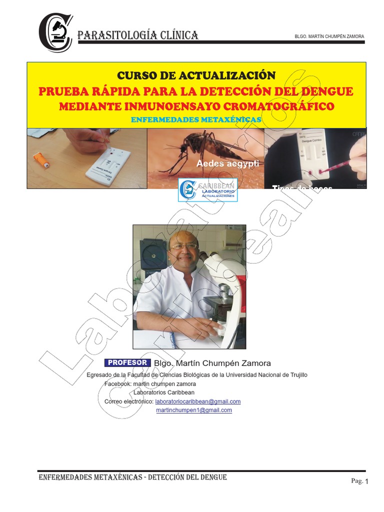 Ficha de dengue para niños y prevención | PDF | Anticuerpo | Virus