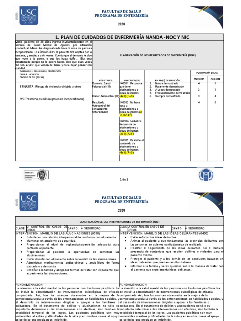 Plan de Cuidados Nivel Avanzado - 2018-2020 | PDF | Engaño | Psicosis