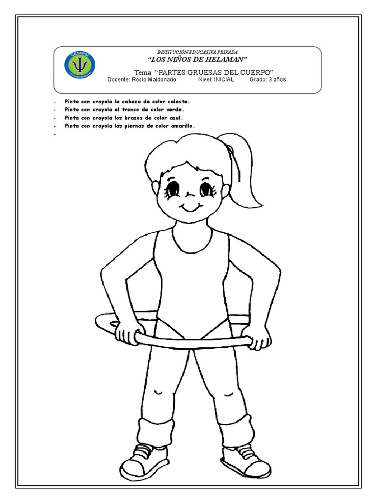 Fichas Partes Gruesas Pdf