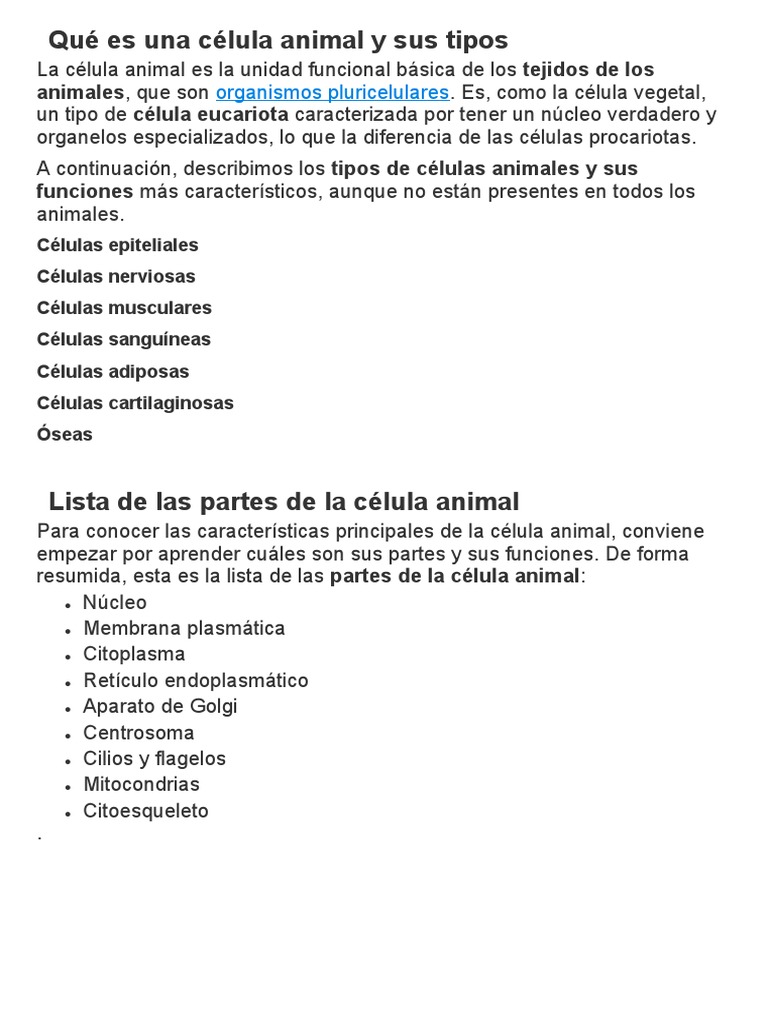 Qué Es Una Célula Animal y Sus Tipos | PDF | Biología Celular) | Citoplasma
