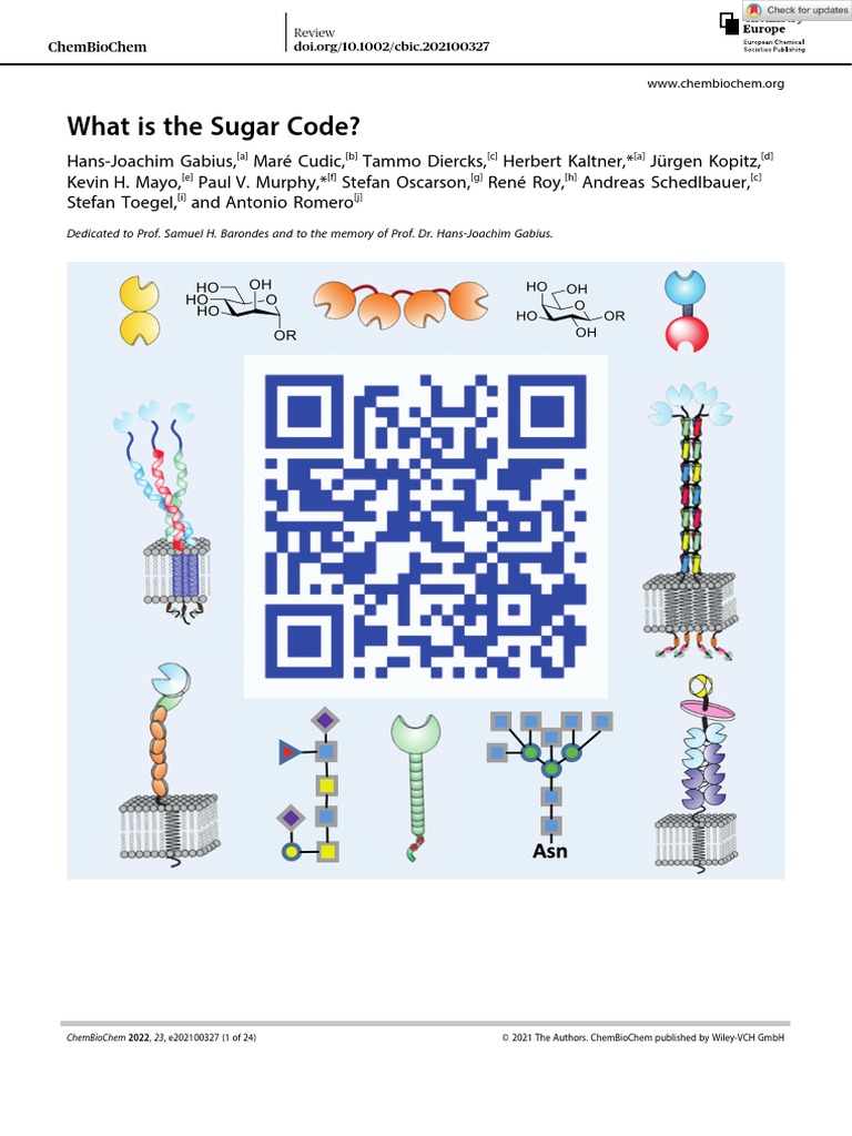 What Is The Sugar Code? | PDF | Proteins | Biochemistry