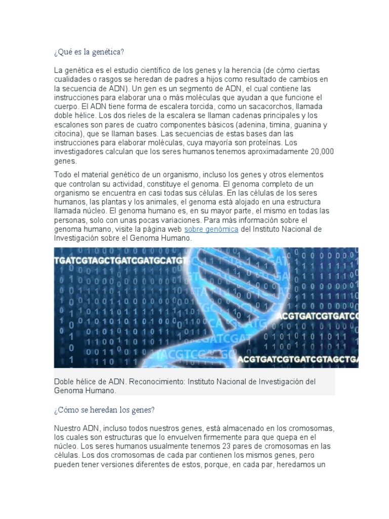 Qué Es La Genética | Descargar gratis PDF | Gene | Adn
