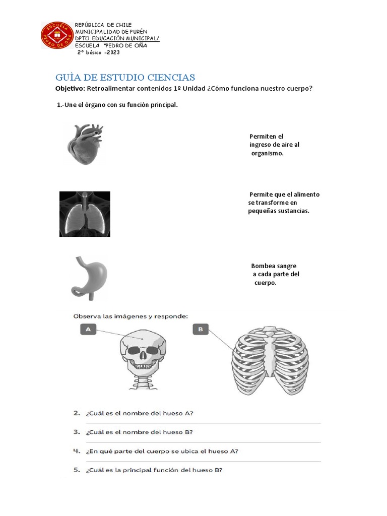 Guìa de Estudio Ciencias: Objetivo: Retroalimentar Contenidos 1º Unidad ...