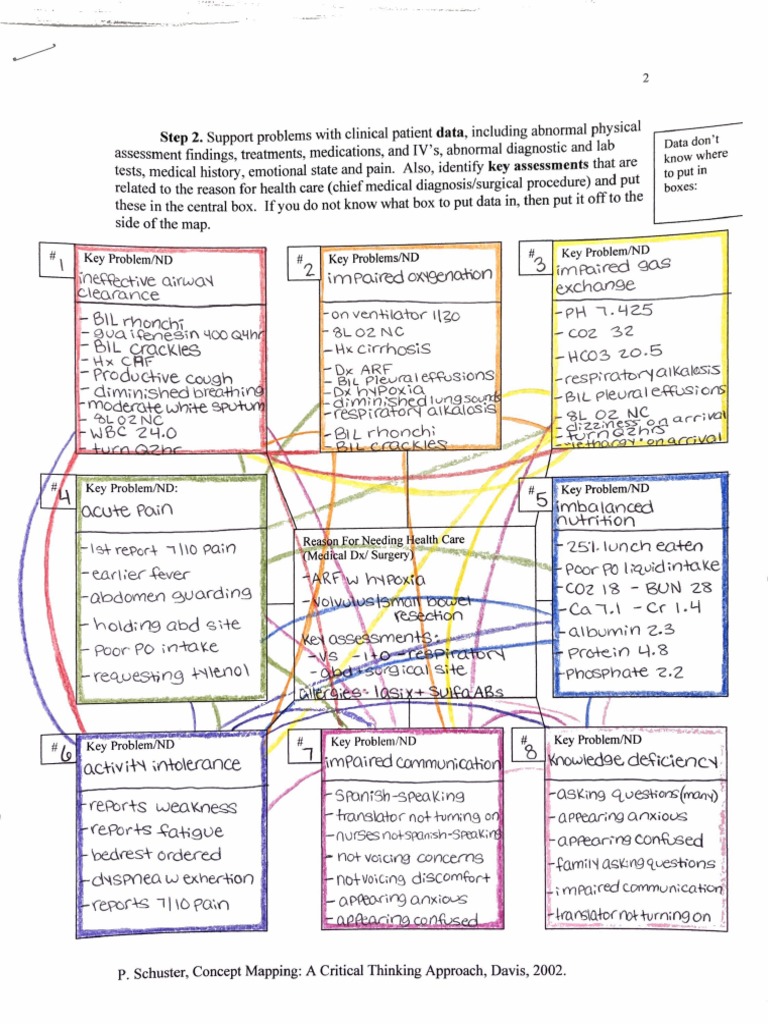 Concept Map Complex Care | PDF