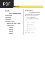 Amoeba Sisters Cell Cycle-1 | PDF | Mitosis | Chromosome