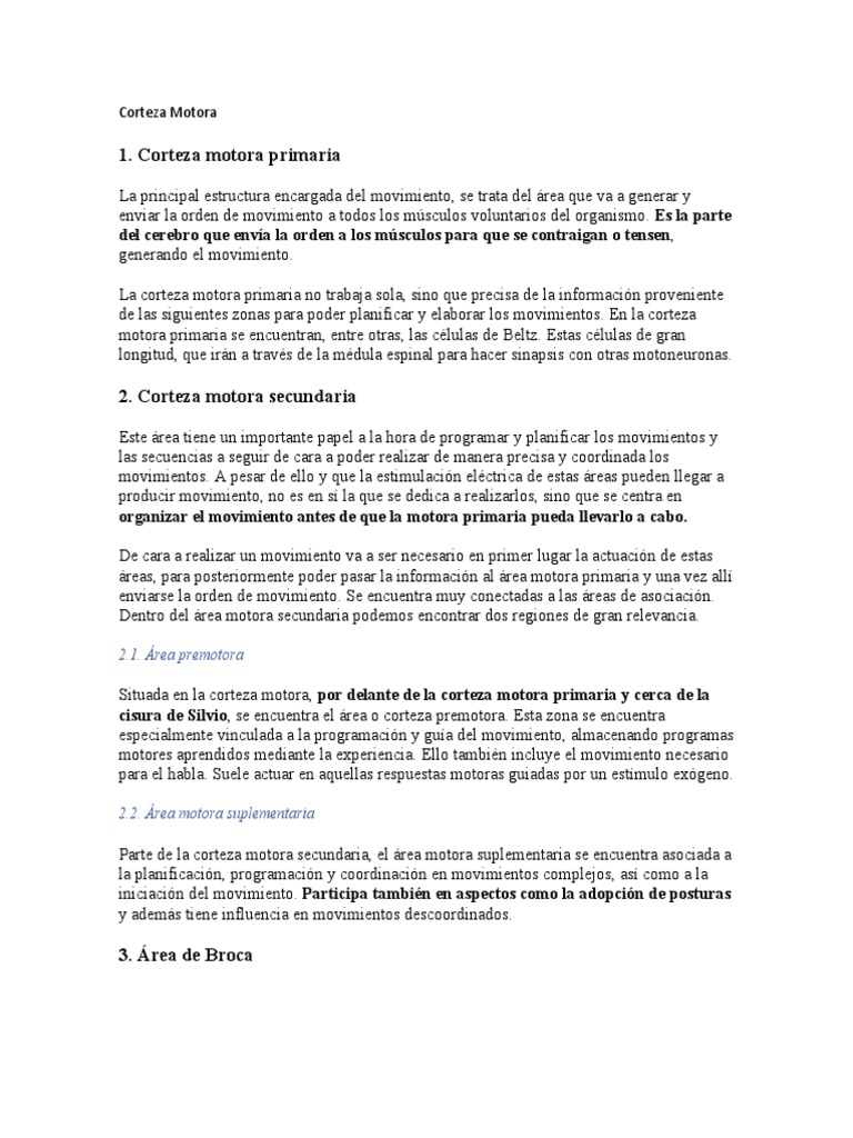 Funciones de la Corteza Motora | PDF | Cerebro | Corteza cerebral